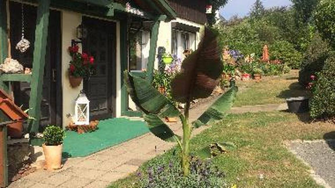 26 M² Ferienwohnung ∙ 2 Gäste - Thale