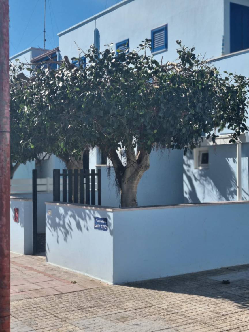 Apartamento ∙ 1 Habitación ∙ 4 Huéspedes - Torre dell'Orso