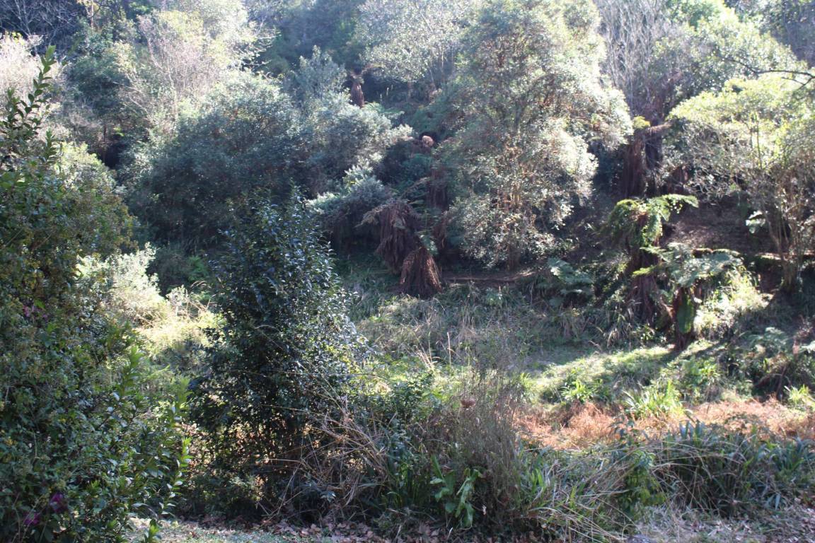 14 M² House ∙ 1 Bedroom ∙ 2 Guests - Howick