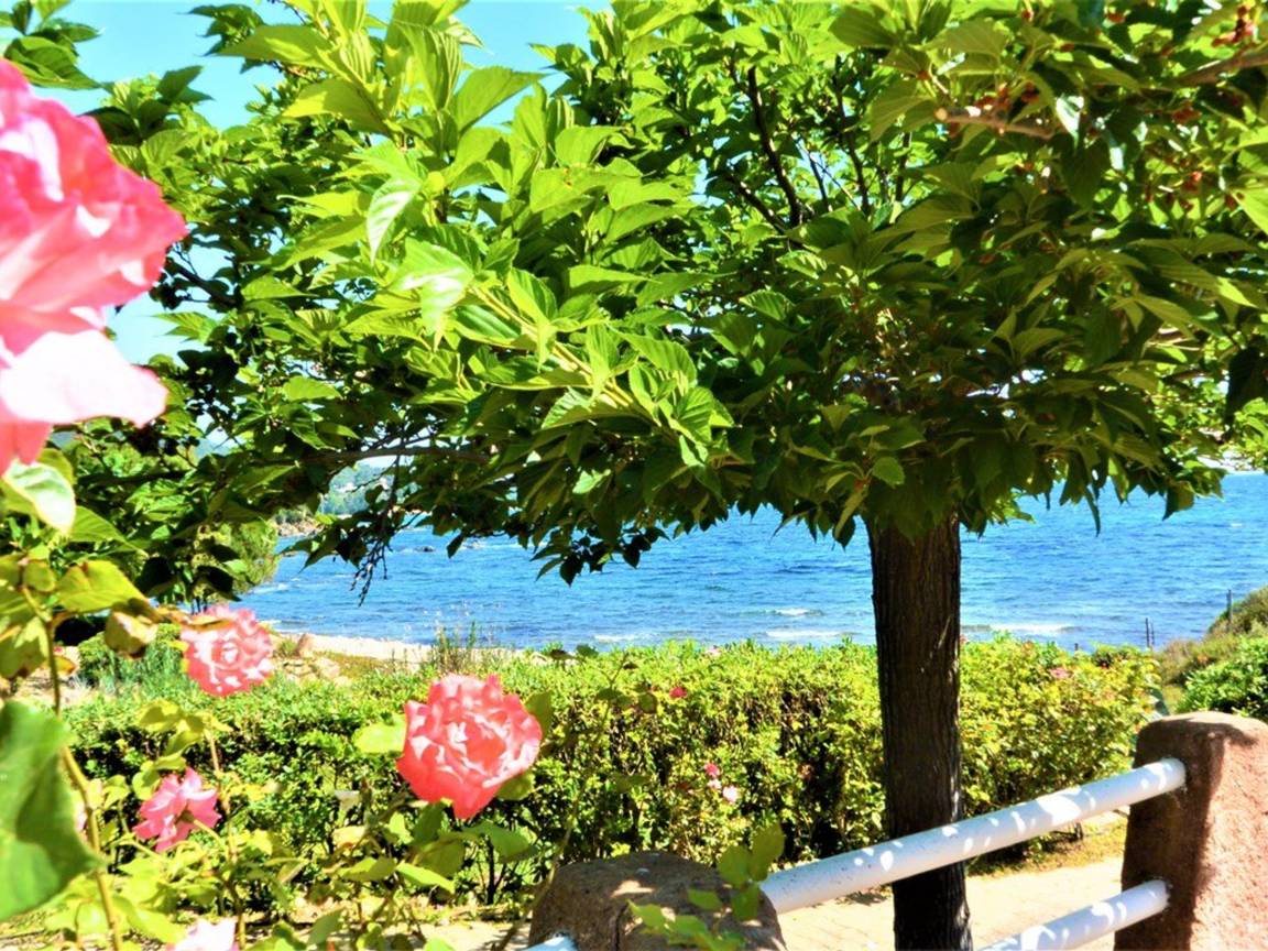 25 M² Maison De Vacances ∙ 1 Chambre ∙ 3 Personnes - Plage de Canella