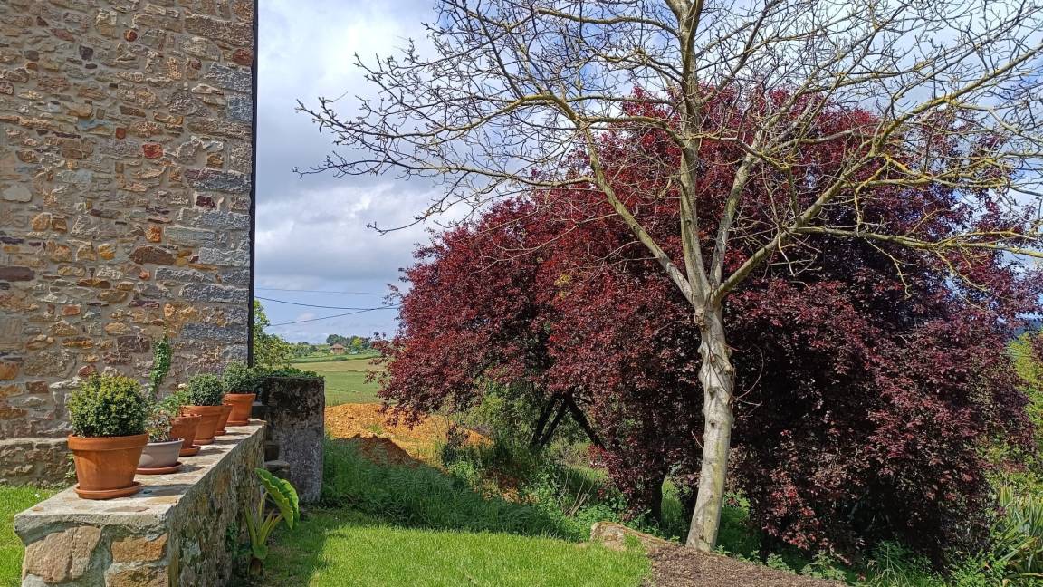 20 M² Chambre D'hôtes ∙ 1 Chambre ∙ 2 Personnes - Asturias