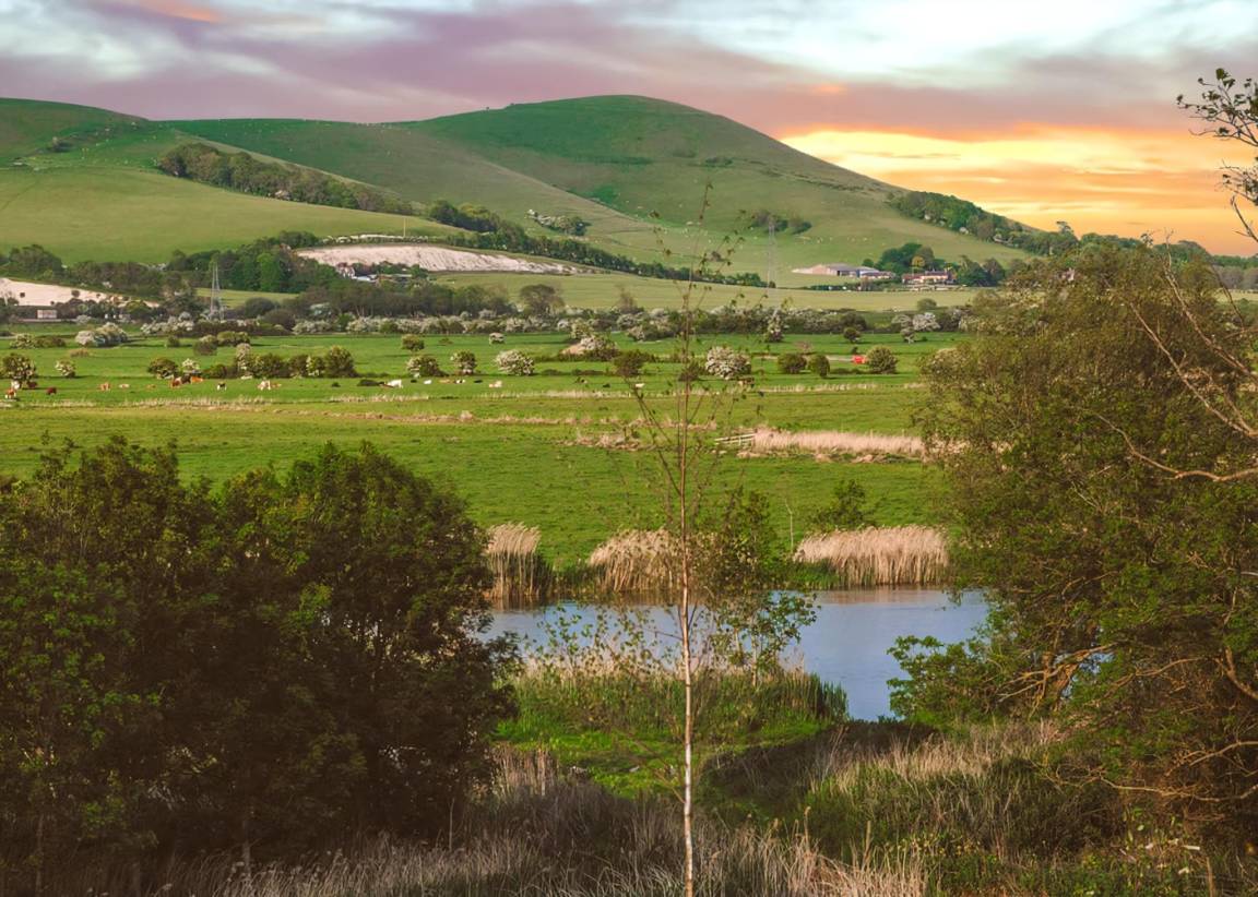 Chalet ∙ 1 Chambre ∙ 2 Personnes - Seaford