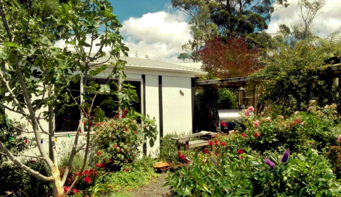 Lodge ∙ 1 Bedroom ∙ 2 Guests - Katikati