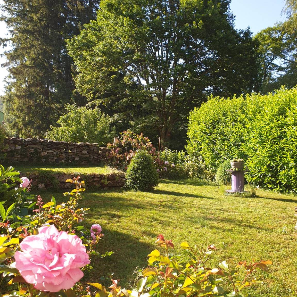 15 M² Chalet ∙ 1 Chambre ∙ 2 Personnes - La Salvetat-sur-Agout