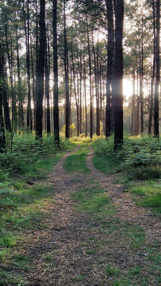 50 M² Gîte ∙ 1 Chambre ∙ 2 Personnes - Soorts-Hossegor