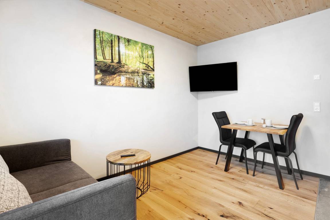 45 M² Apartment ∙ 1 Bedroom ∙ 2 Guests - Donaueschingen