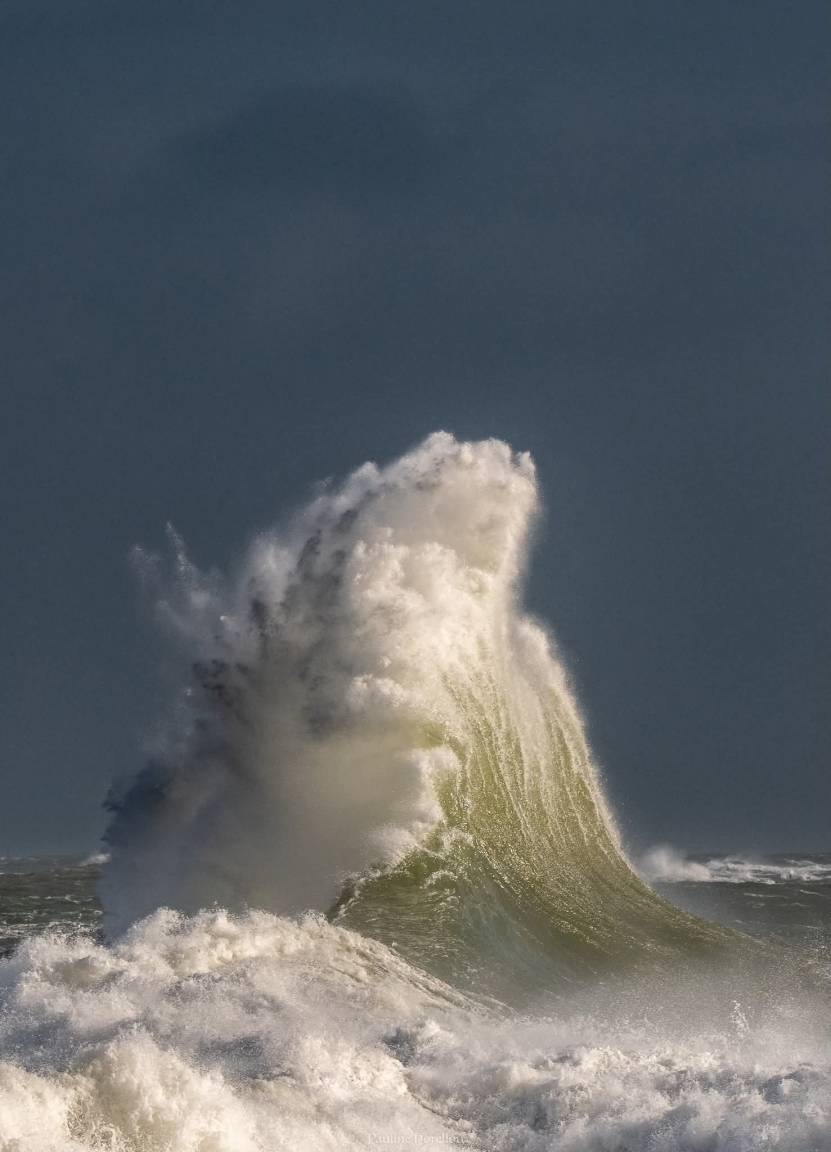 40 M² Gîte ∙ 1 Bedroom ∙ 3 Guests - Arcachon
