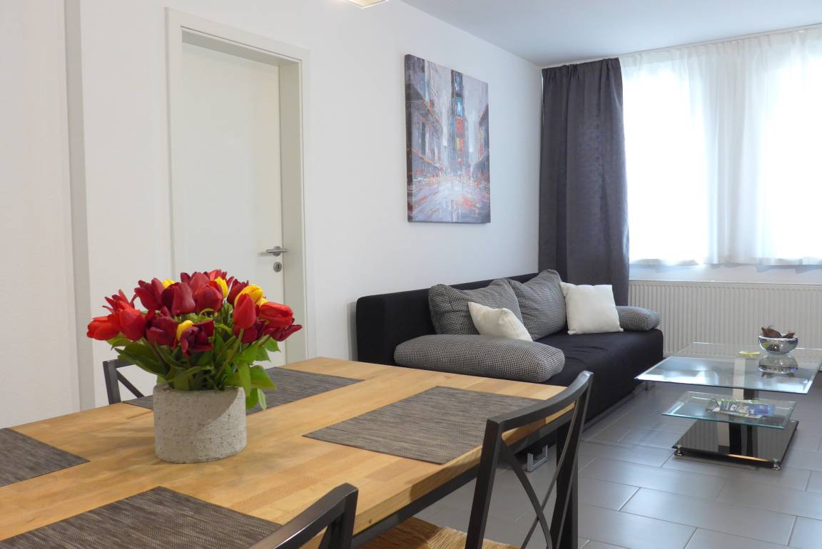 65 M² Apartment ∙ 2 Bedrooms ∙ 4 Guests - Saarbrücken