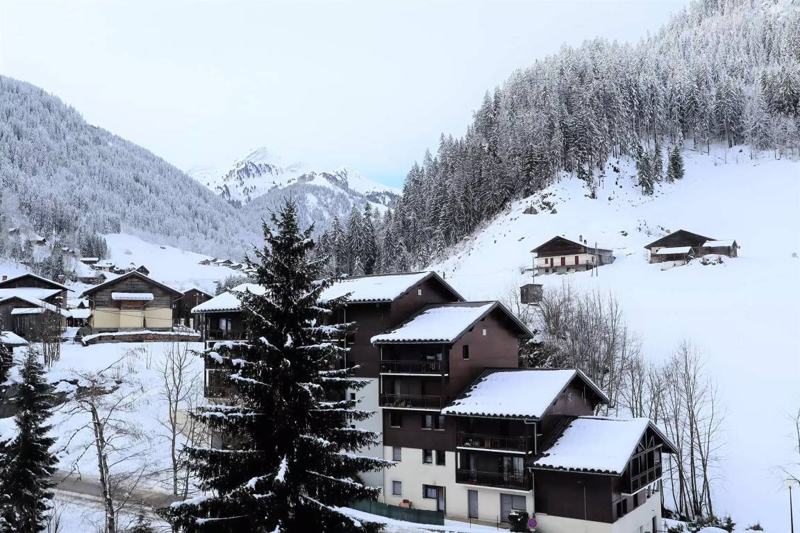 24 M² Appartement ∙ 1 Chambre ∙ 4 Personnes - Areches Beaufort