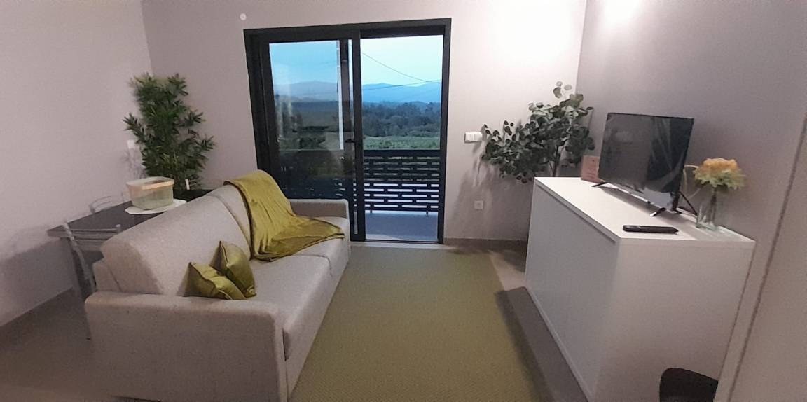 25 M² Studio Flat ∙ 1 Bedroom ∙ 4 Guests - Sever do Vouga