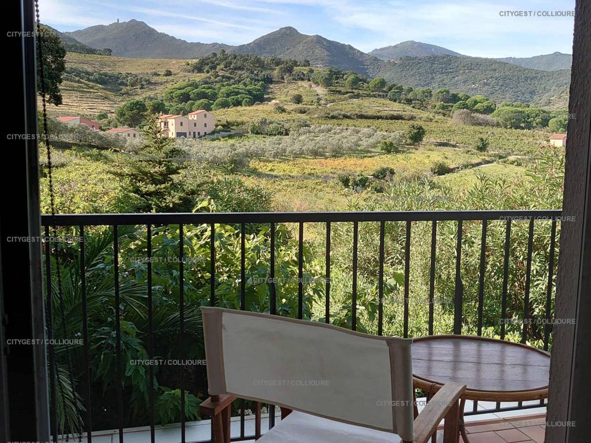 46 M² Apartment ∙ 1 Bedroom ∙ 4 Guests - Collioure