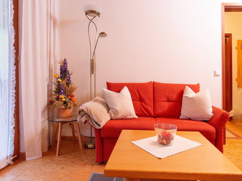 45 M² Ferienwohnung ∙ 1 Schlafzimmer ∙ 2 Gäste - Wolfach