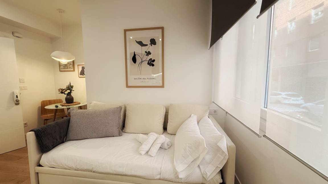 20 M² Apartamento ∙ 1 Habitación ∙ 2 Huéspedes - Bilbao