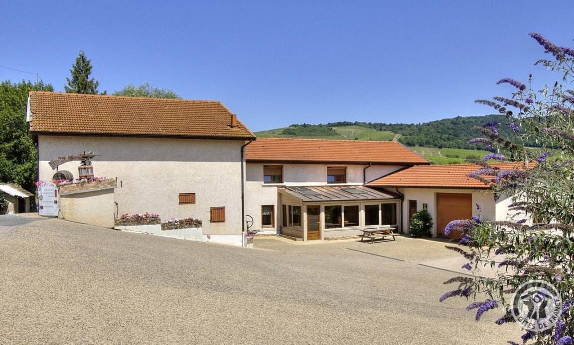 122 M² Gîte ∙ 3 Schlafzimmer ∙ 10 Gäste - Fleurie