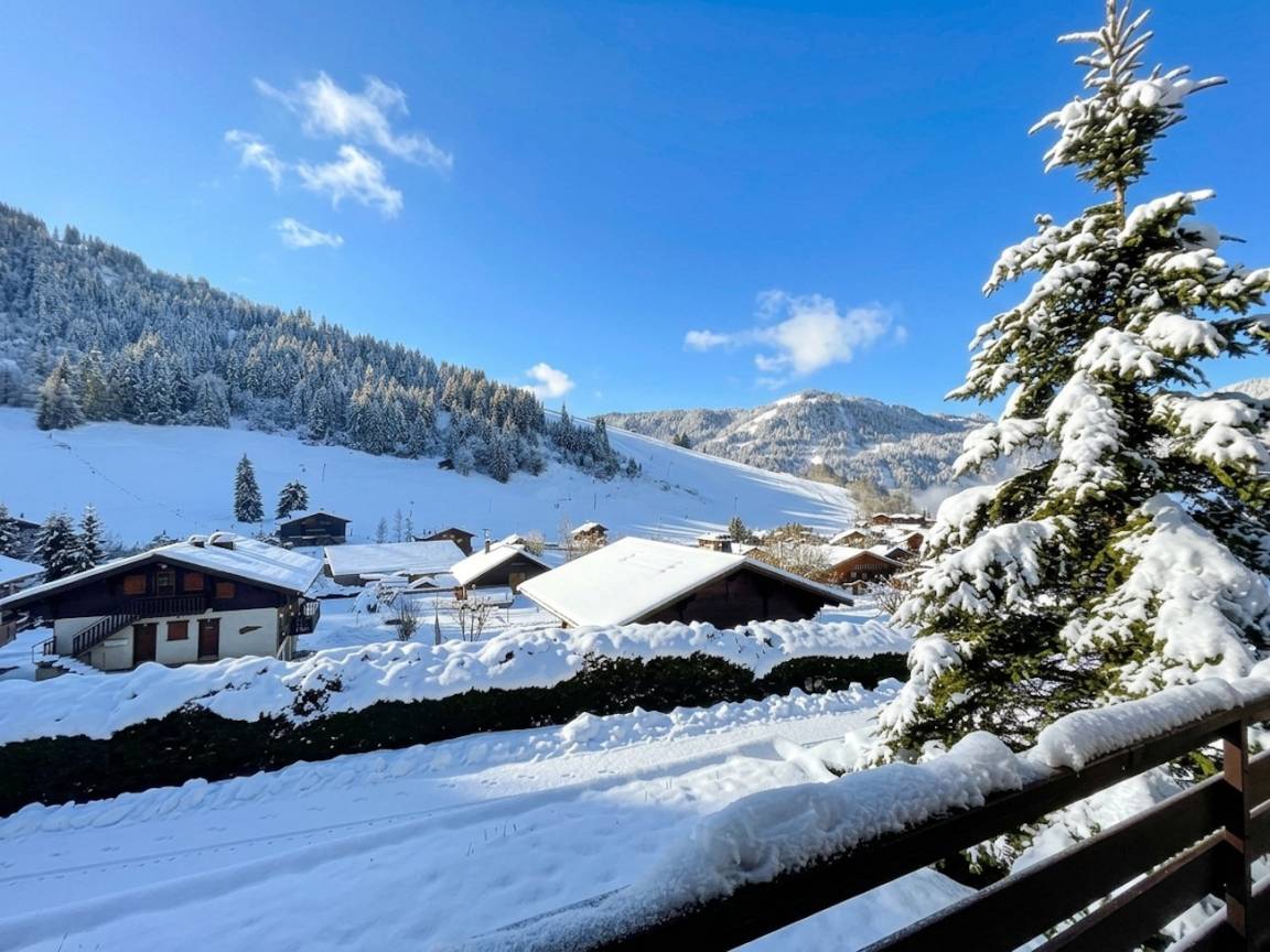 35 M² Chalet ∙ 1 Slaapkamer ∙ 4 Gasten - Ugine