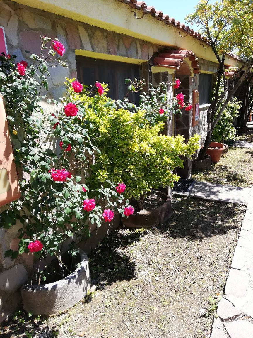 40 M² Bed And Breakfast ∙ 2 Bedrooms ∙ 4 Guests - Palinuro