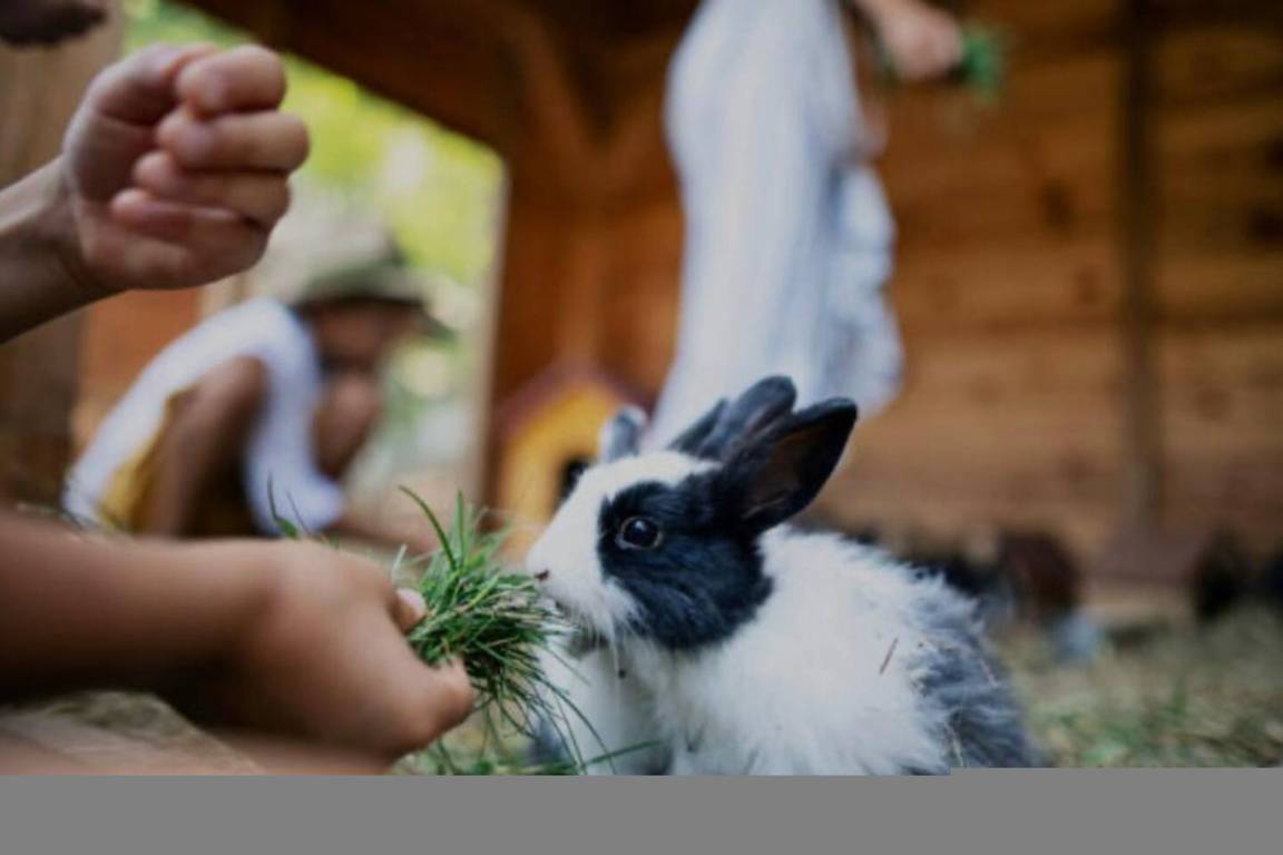 Appartement ∙ 2 Personnes - Woodbury, NY