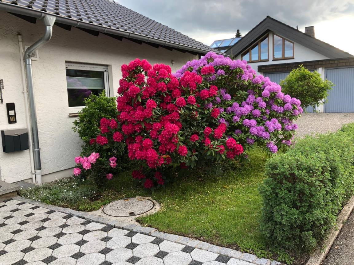 45 M² Ferienwohnung ∙ 1 Schlafzimmer ∙ 4 Gäste - Unterkirnach