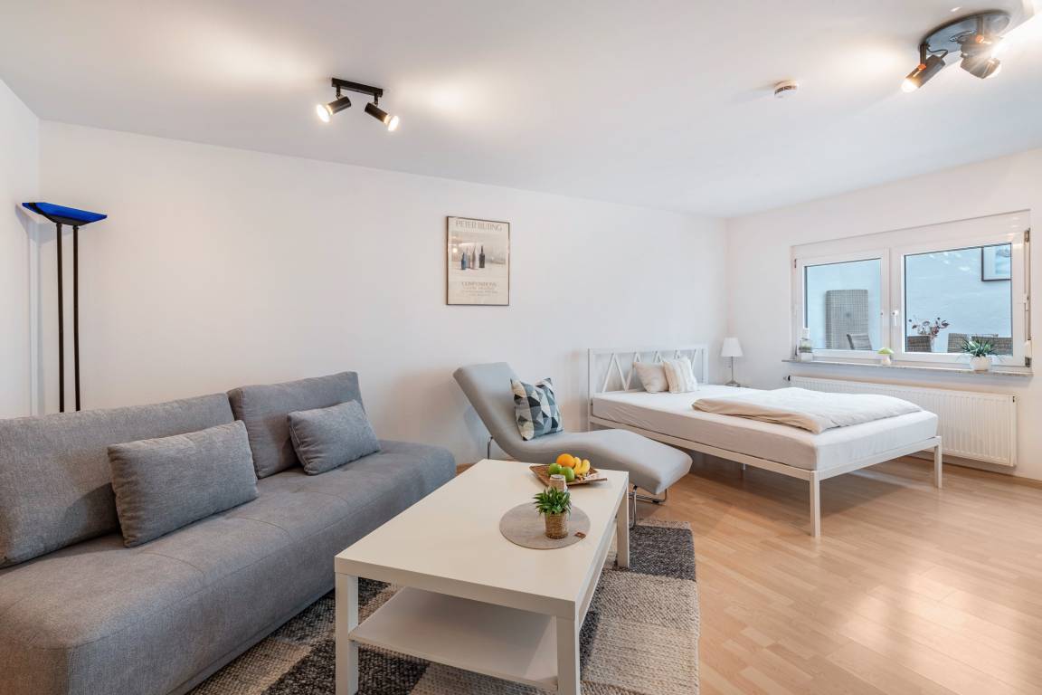 50 M² Studio Flat ∙ 2 Guests - Freiburg im Breisgau
