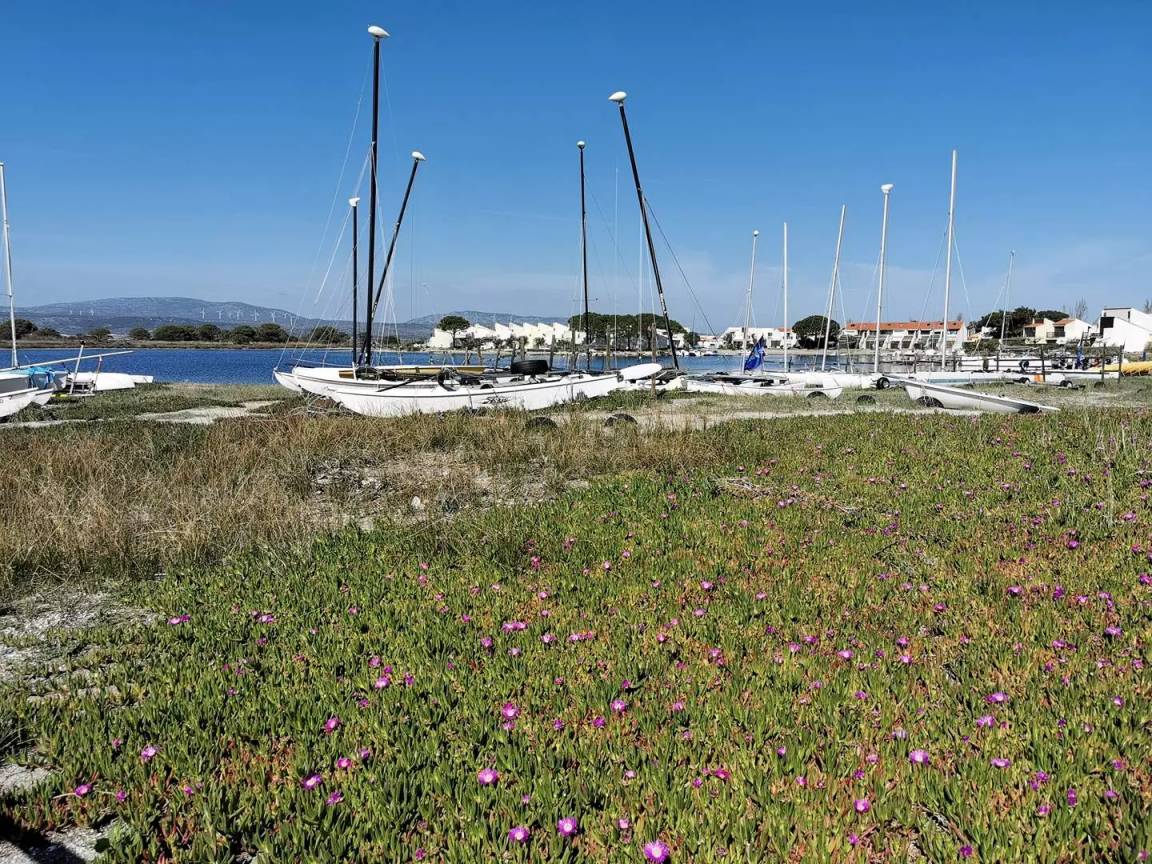 35 M² Ferienhaus ∙ 2 Schlafzimmer ∙ 6 Gäste - La Franqui