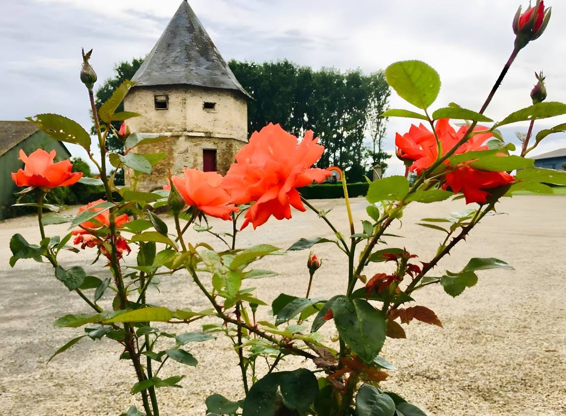 28 M² Chambre D'hôtes ∙ 1 Chambre ∙ 5 Personnes - Le Crotoy