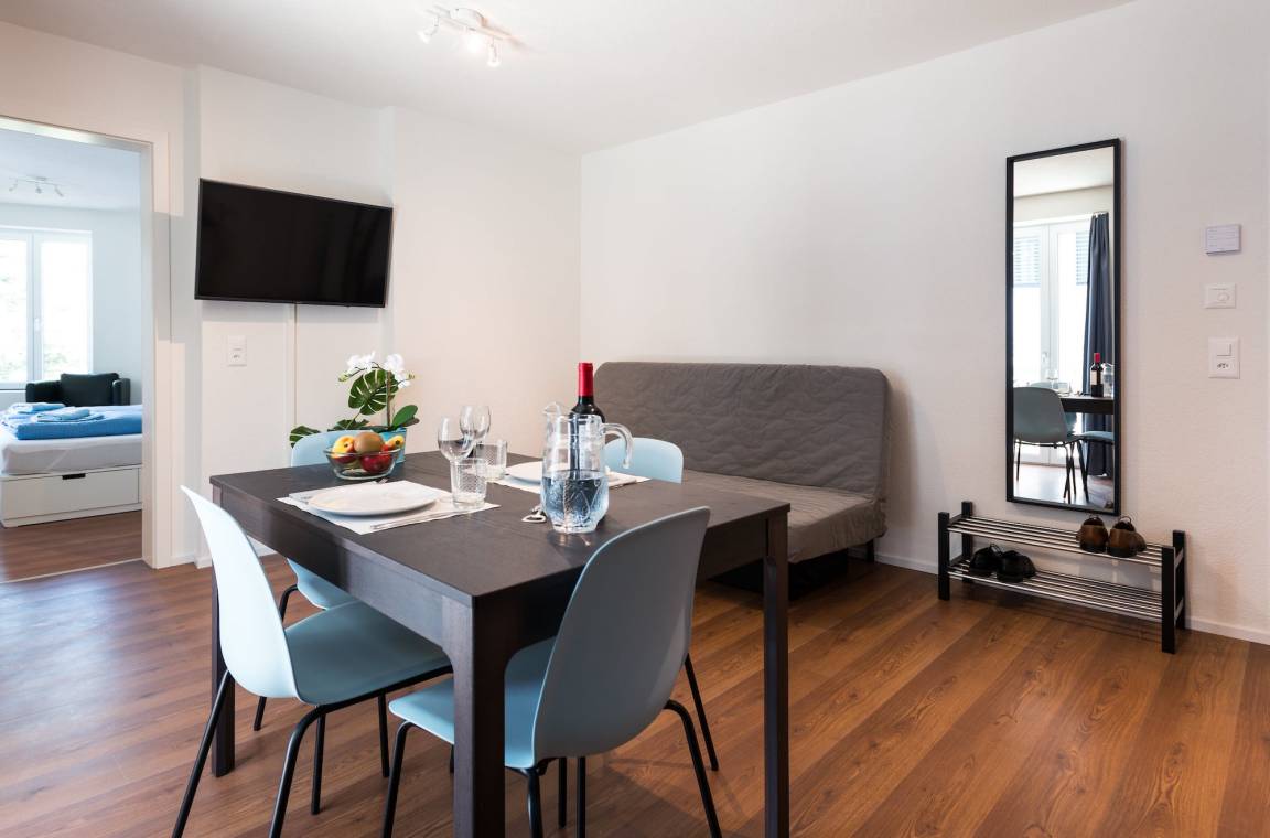 40 M² Appartement ∙ 1 Chambre ∙ 4 Personnes - Zurich