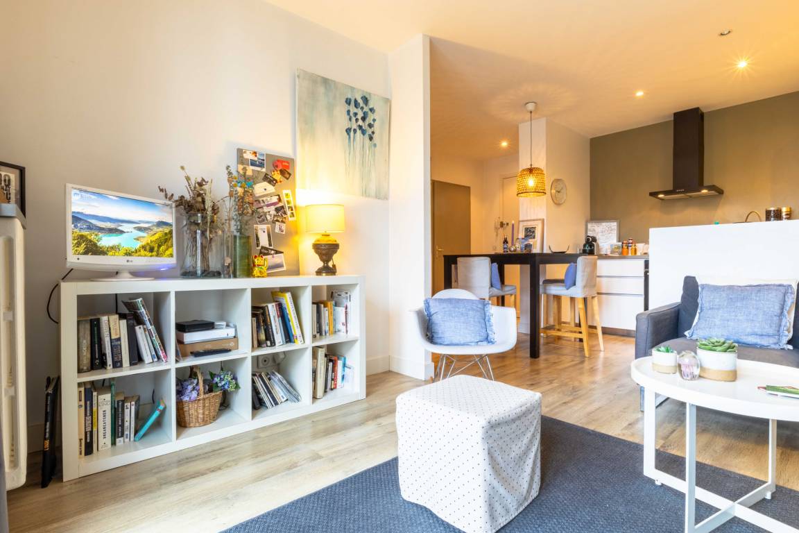 45 M² Appartement ∙ 1 Chambre ∙ 4 Personnes - Annecy