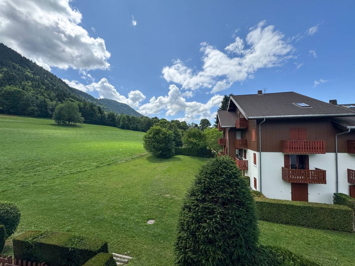 20 M² Studio ∙ 1 Chambre ∙ 4 Personnes - Saint-Jean-d'Aulps