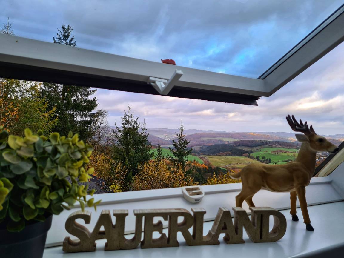 56 M² Ferienwohnung ∙ 1 Schlafzimmer ∙ 4 Gäste - Bestwig