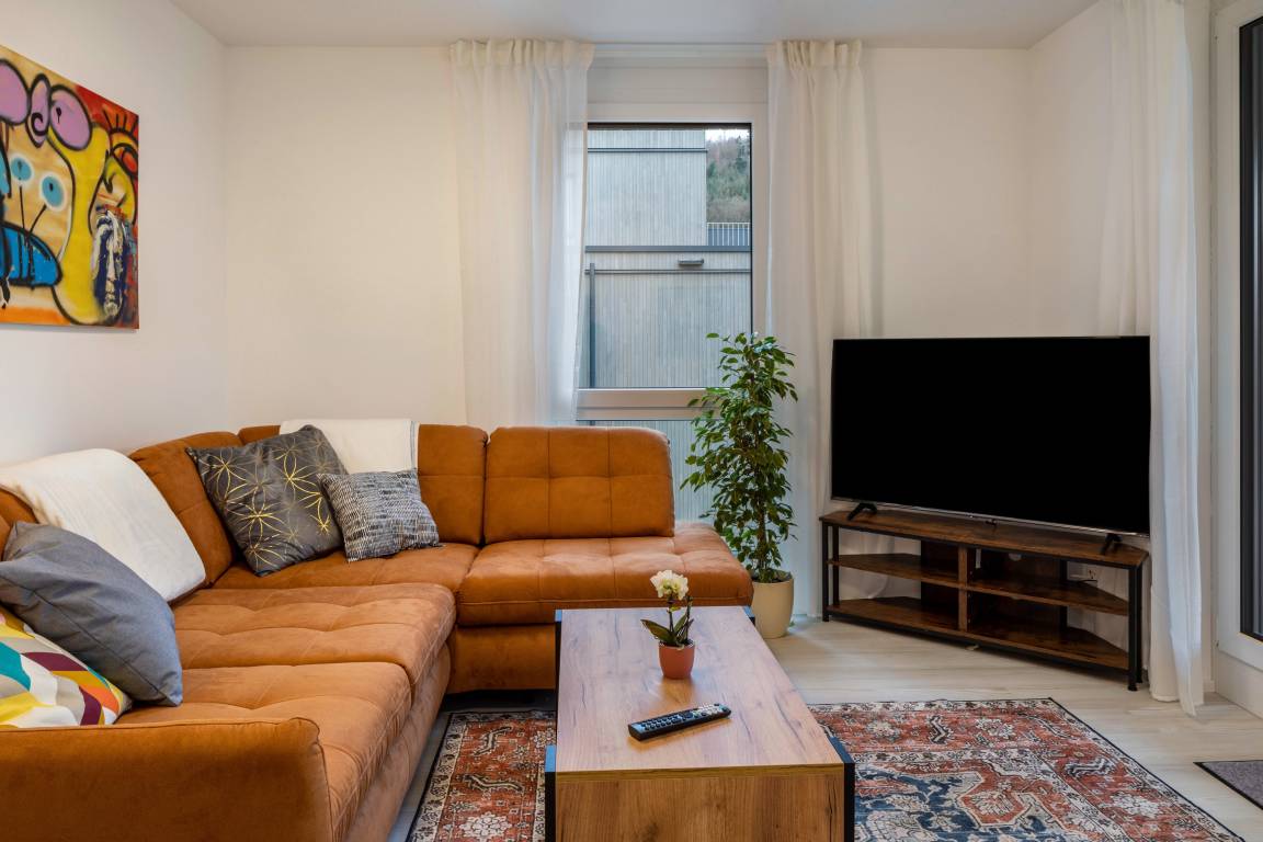 55 M² Appartement ∙ 1 Chambre ∙ 4 Personnes - Emmendingen