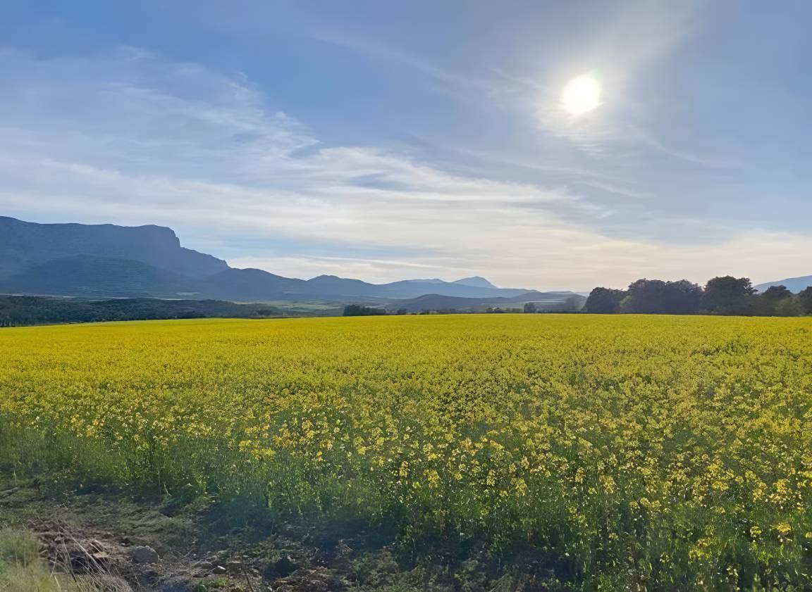 140 M² Casa ∙ 3 Habitaciones ∙ 7 Huéspedes - Jaca