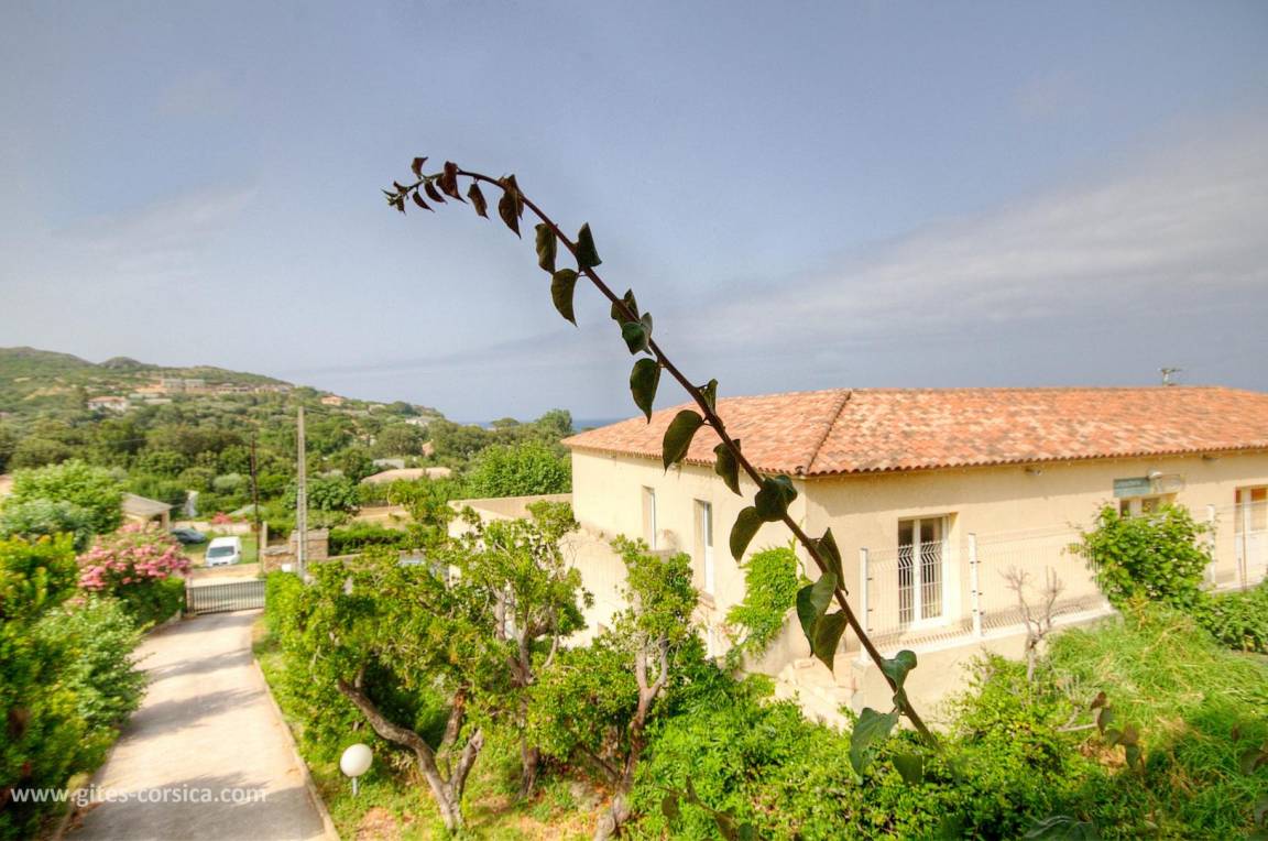 36 M² Gîte ∙ 1 Chambre ∙ 2 Personnes - Haute-Corse
