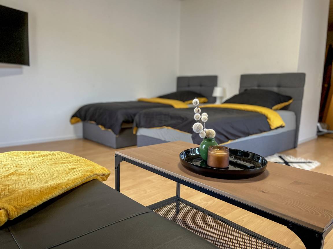 49 M² Ferienwohnung ∙ 1 Schlafzimmer ∙ 3 Gäste - Heubach