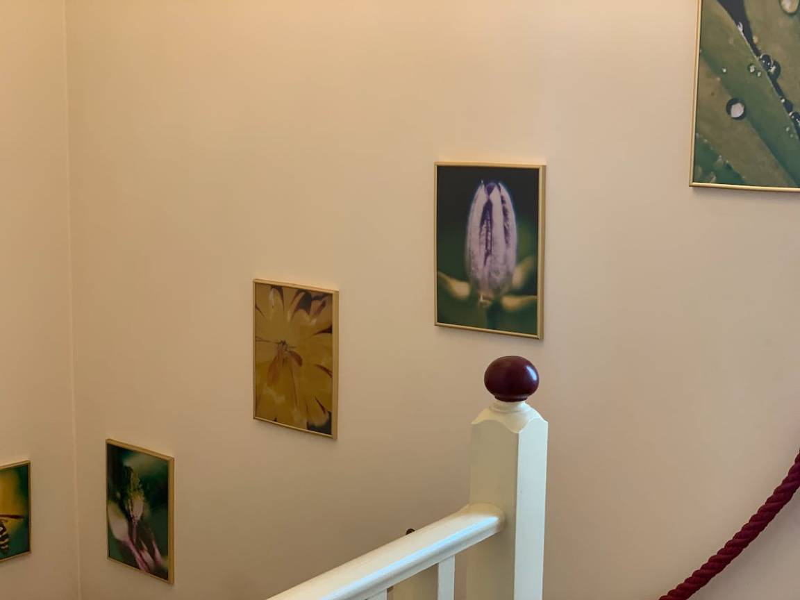 240 M² Huis ∙ 3 Slaapkamers ∙ 6 Gasten - Wenen
