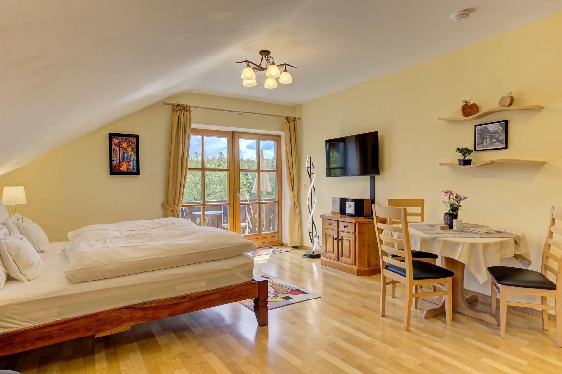 30 M² Apartment ∙ 1 Bedroom ∙ 2 Guests - Spiegelau