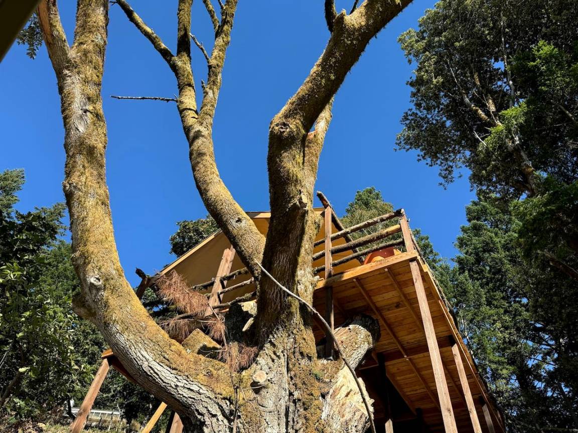 Camping ∙ 1 Bedroom ∙ 4 Guests - Half Moon Bay, CA