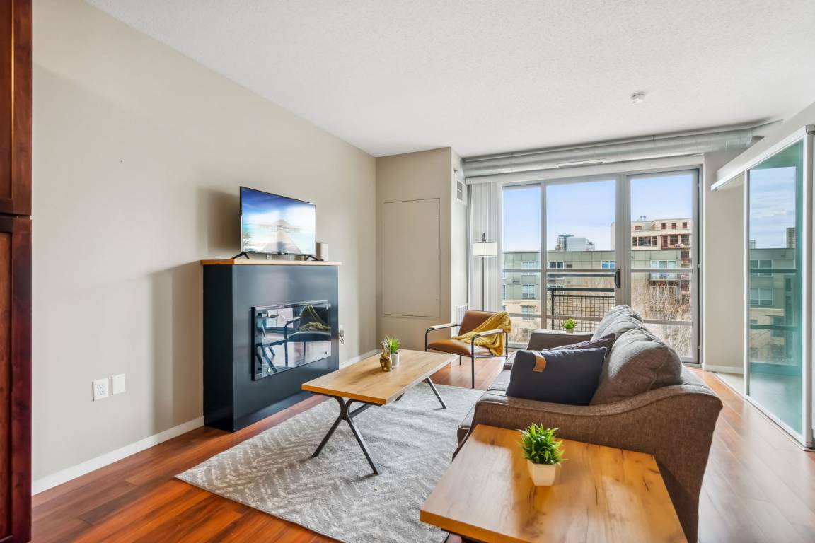 Apartment ∙ 1 Bedroom ∙ 2 Guests - Minneapolis, MN