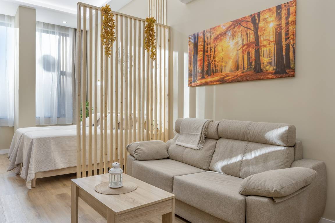 40 M² Aparthotel ∙ 1 Schlafzimmer ∙ 3 Gäste - Cádiz