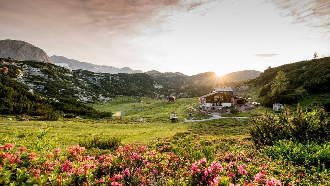 Hotel ∙ 1 Bedroom ∙ 5 Guests - Hallstatt