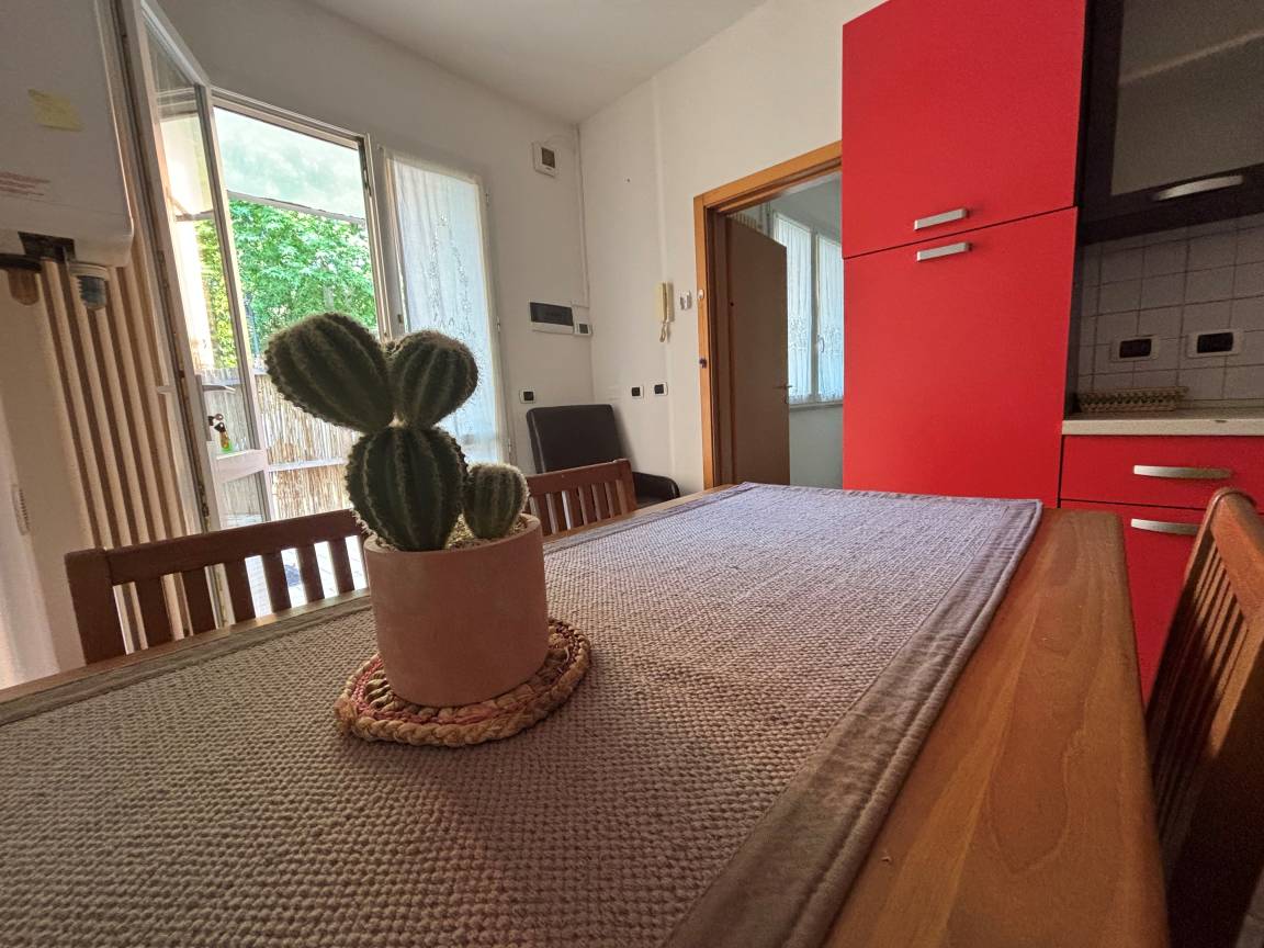36 M² Apartment ∙ 1 Bedroom ∙ 4 Guests - Cesenatico