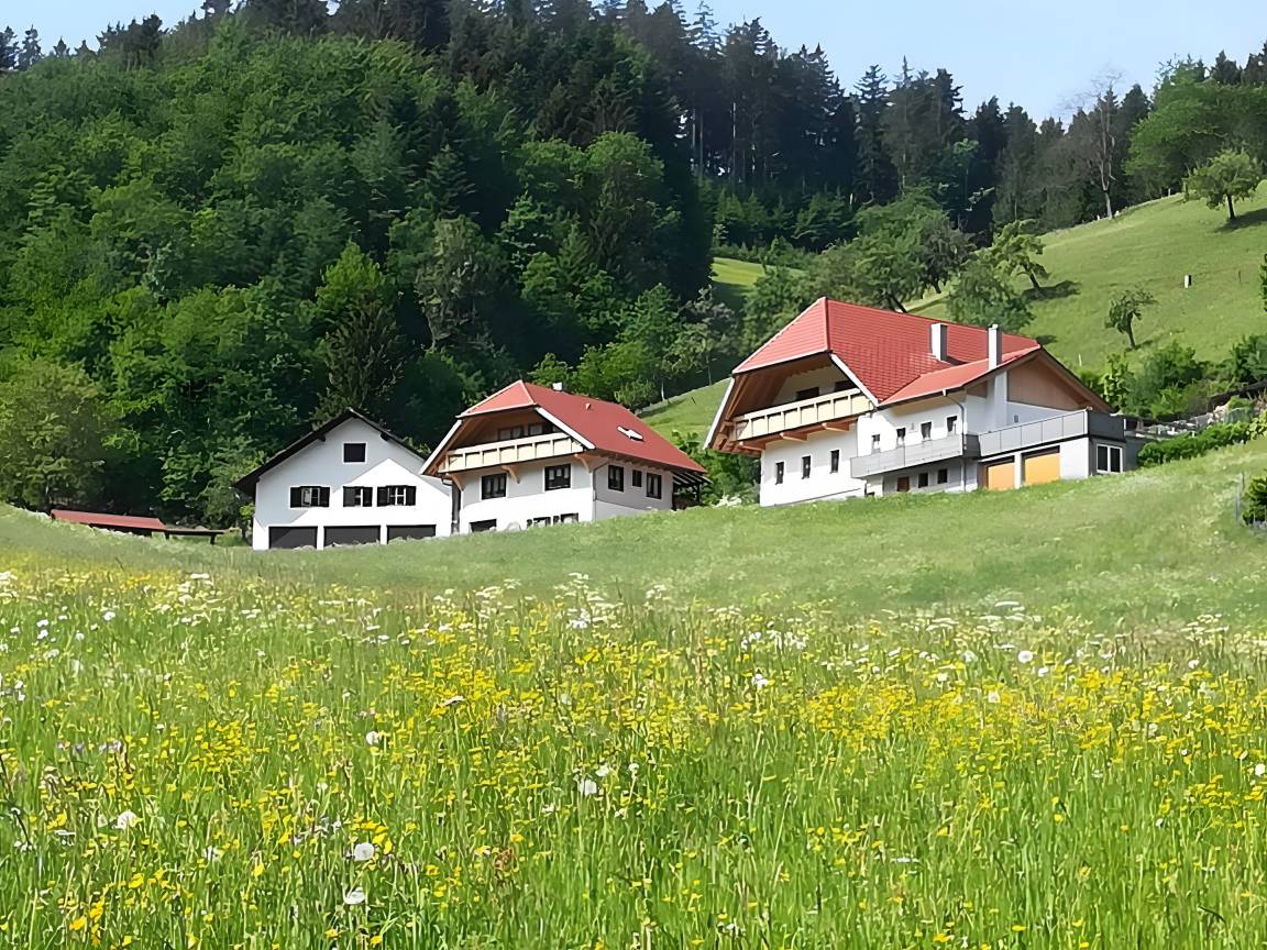 50 M² Ferienwohnung ∙ 1 Schlafzimmer ∙ 3 Gäste - Oberharmersbach