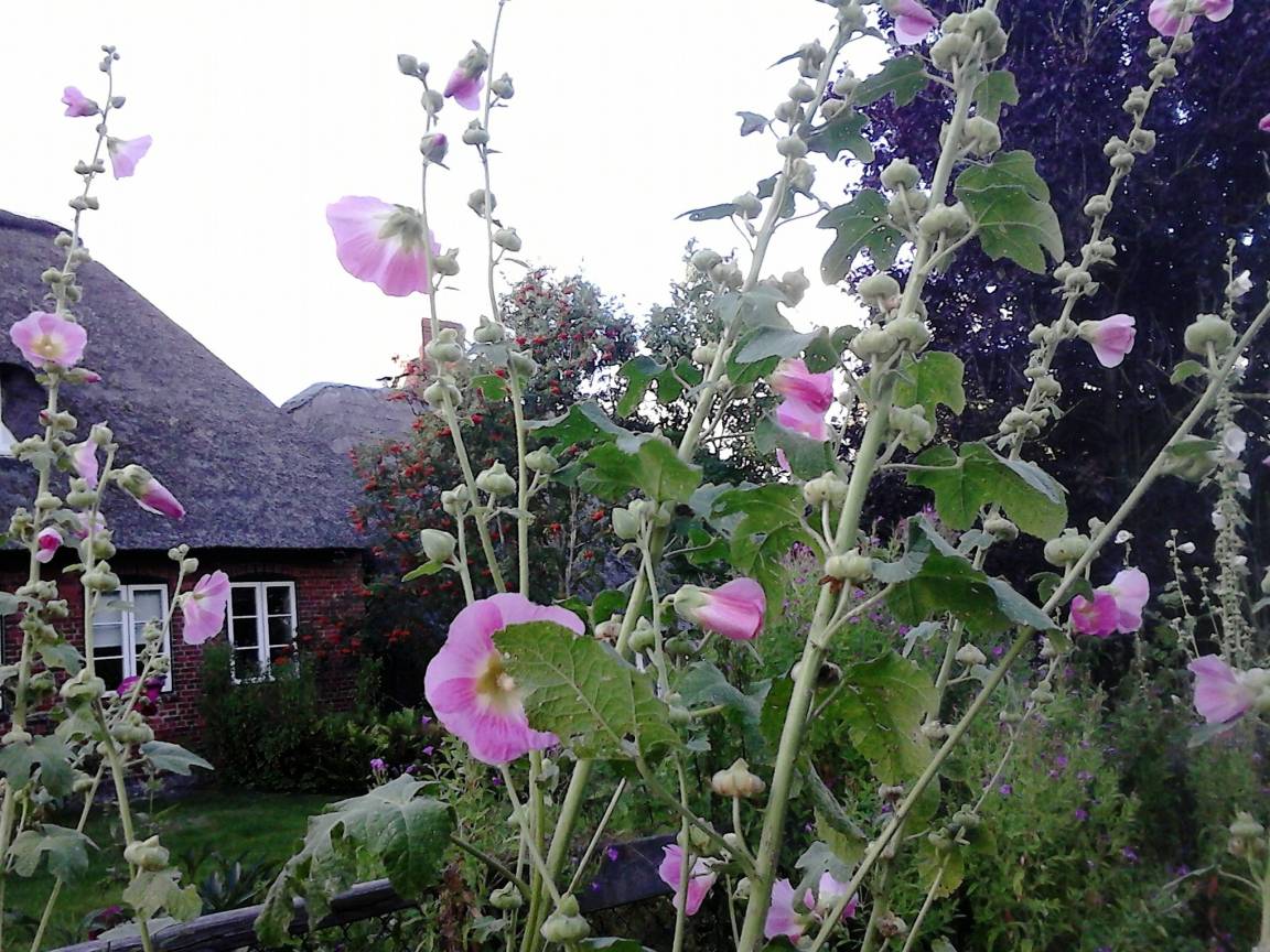 75 M² Ferienhaus ∙ 2 Schlafzimmer ∙ 4 Gäste - Ockholm