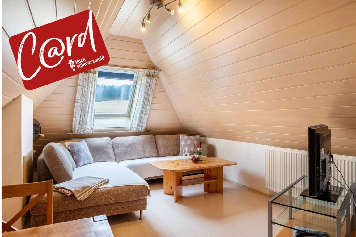 35 M² Apartment ∙ 1 Bedroom ∙ 2 Guests - Titisee-Neustadt