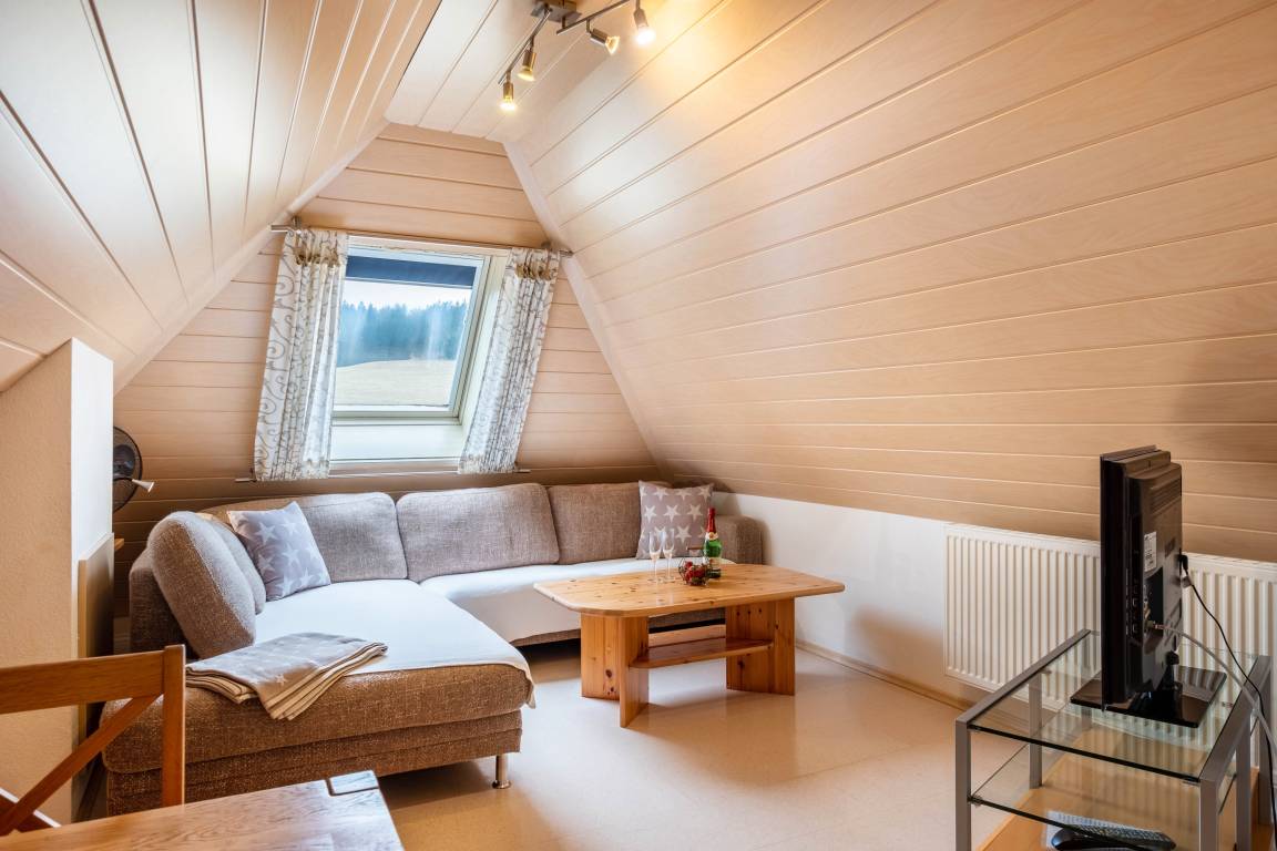 35 M² Apartment ∙ 1 Bedroom ∙ 2 Guests - Titisee-Neustadt