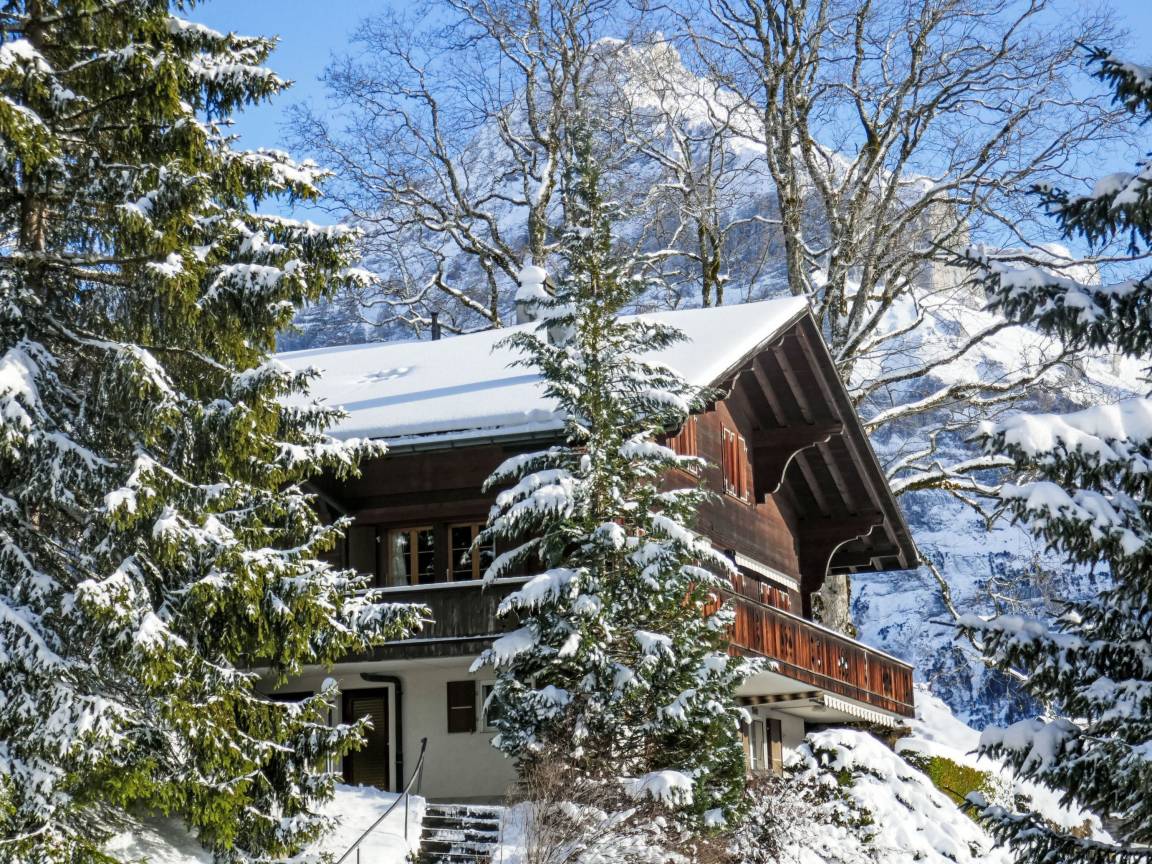 53 M² Apartment ∙ 1 Bedroom ∙ 4 Guests - Grindelwald