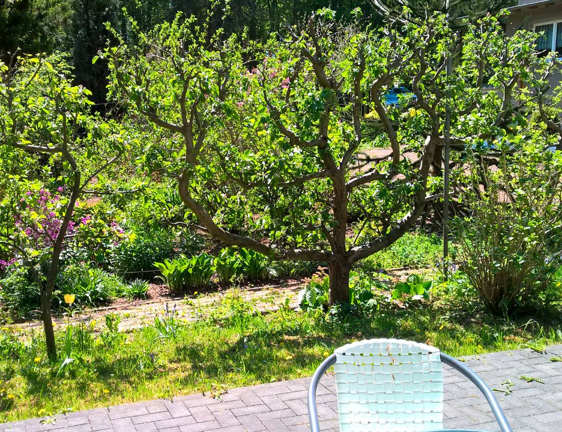 45 M² Ferienhaus ∙ 1 Schlafzimmer ∙ 2 Gäste - Sassnitz