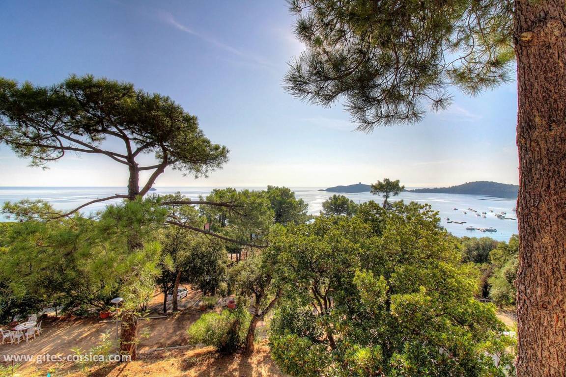 36 M² Gîte ∙ 1 Schlafzimmer ∙ 2 Gäste - Porto-Vecchio