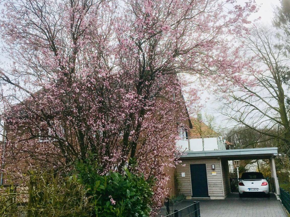 75 M² Ferienwohnung ∙ 1 Schlafzimmer ∙ 2 Gäste - Voerde (Niederrhein)