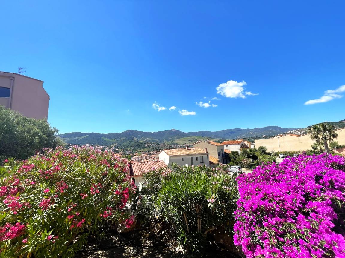 30 M² Appartement ∙ 1 Chambre ∙ 4 Personnes - Banyuls-sur-Mer