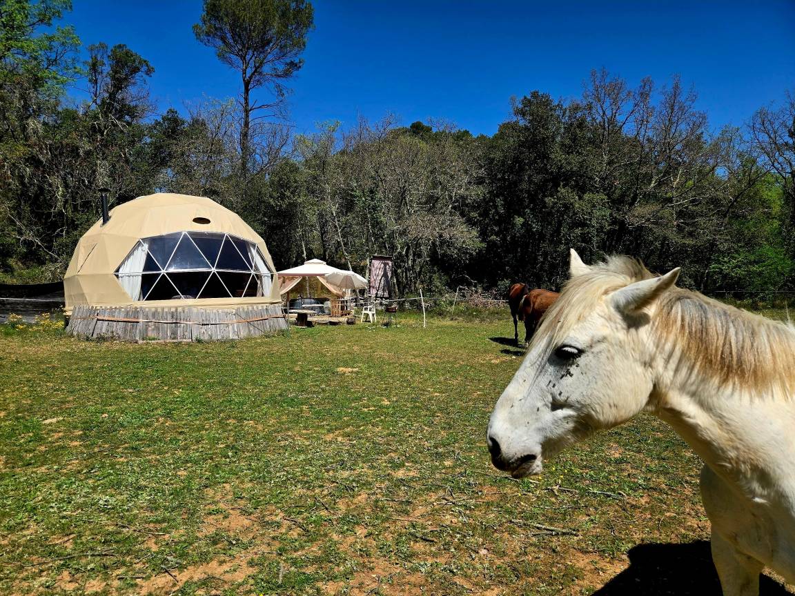 28 M² Studio ∙ 1 Chambre ∙ 3 Personnes - Quinson